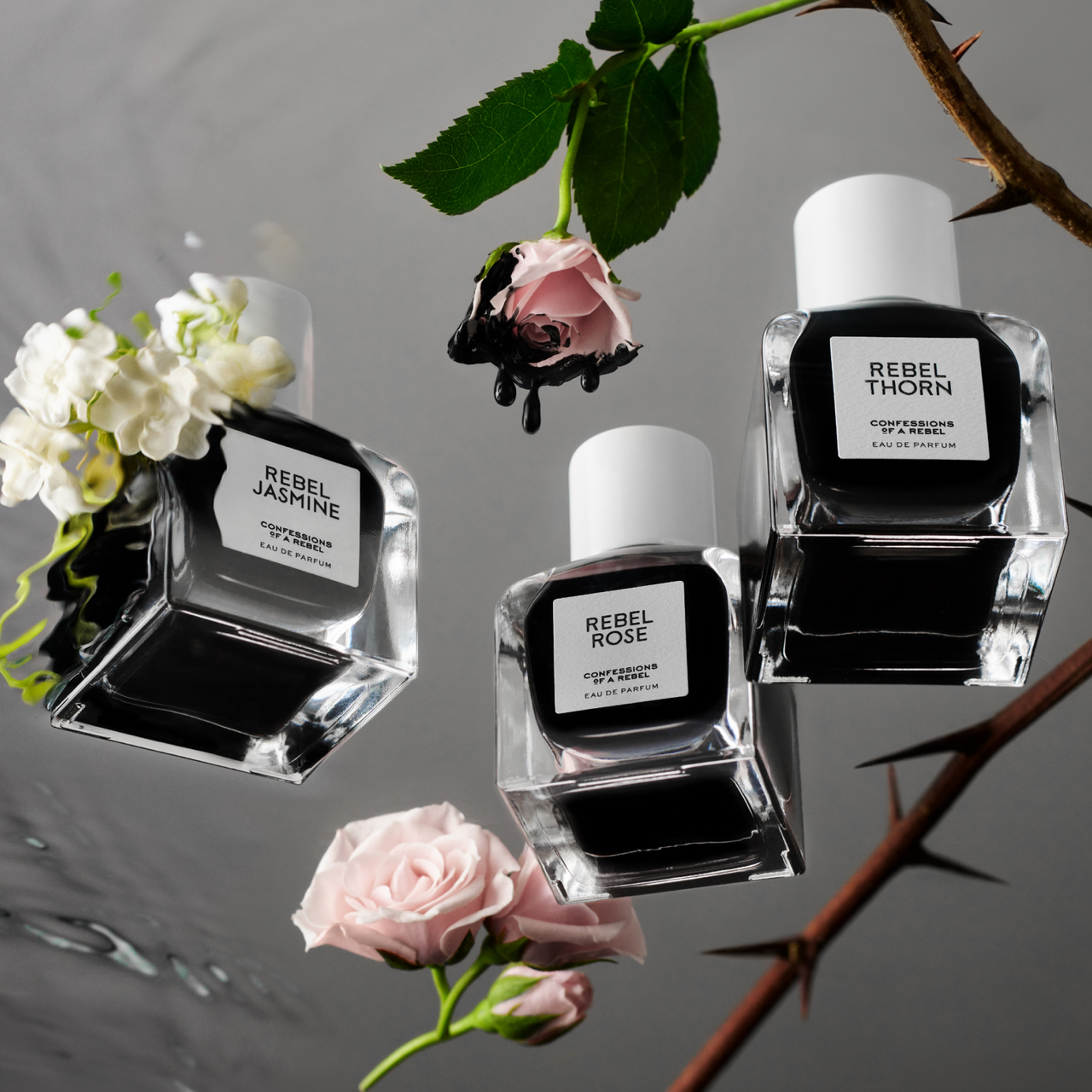 Rebel Rose – Confessions of a Rebel